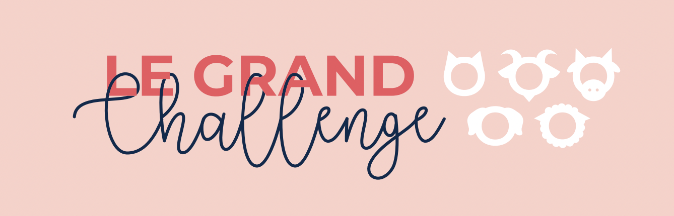 Le Grand Challenge - ClubAsv.fr