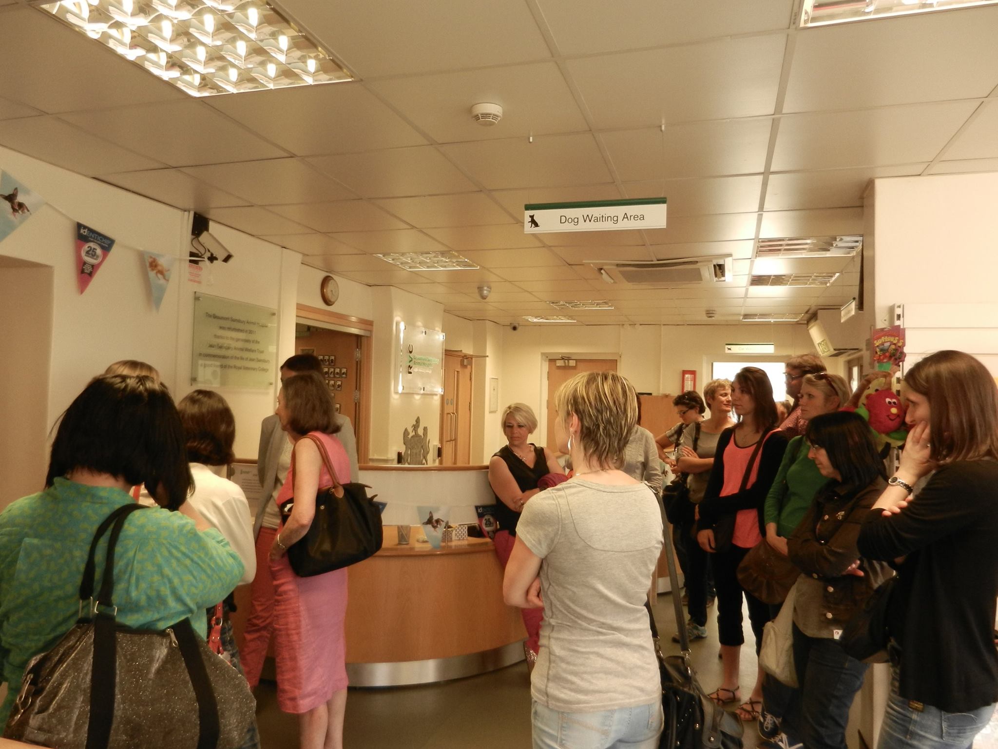 Historique et équipe - ClubAsv.fr